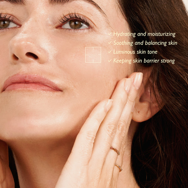 Black Rice Hyaluronic Toner – haruharu wonder