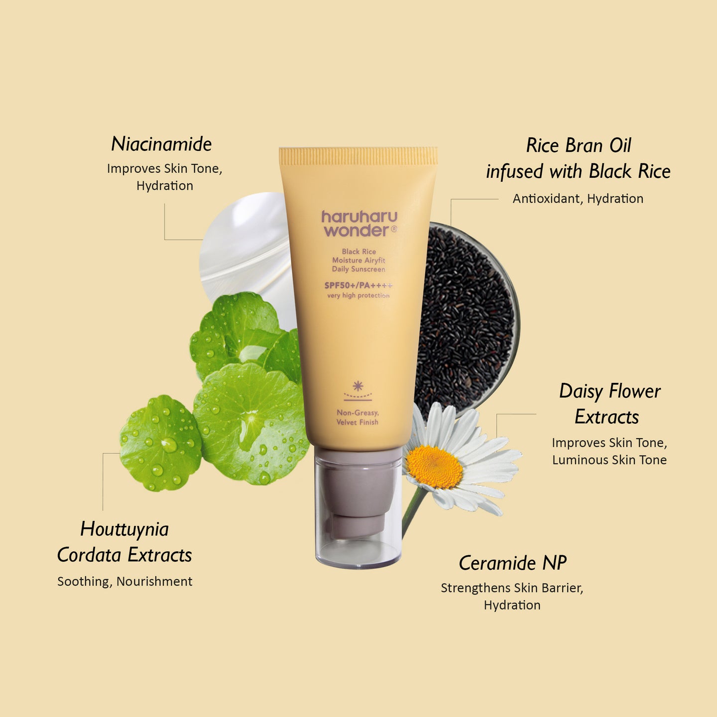 BLACK RICE moisture airyfit daily sunscreen SPF50+ PA++++ – haruharu wonder